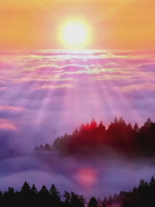 Hyaluronic Heaven Facial Serum | Face Serum for All Skin Types